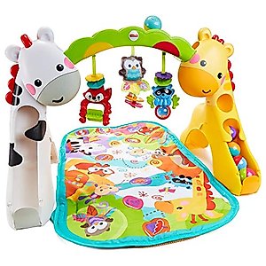 Fisher-Price Newborn-To-Toddler Play Gym With Music and Lights [Amazon Exclusive]