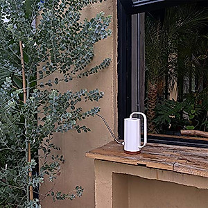 YYGoo Indoor Watering Can, Modern Style Watering Pot with Long Spout, Small Size for House Bonsai Plants Garden Flower, 40oz/1.2L (White)