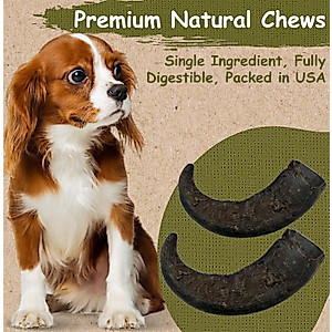 Top Dog Chews – Water Buffalo Horn, Long Lasting Dog Chew for Aggressive Chewers, All Natural, Dog Bone for Large & Medium Dogs, 2 Pack