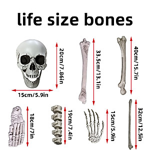 Halloween Skeleton Bones Realistic Looking Skulls Human Skeleton For Halloween Scary Graveyard Haunted House Lawn Yard Decorations(28 pieces）