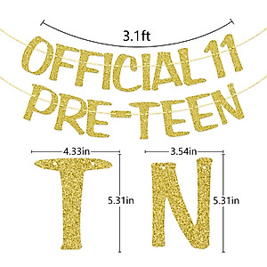 11th Birthday Gold Glitter Banner, Official 11 Pre-Teen Decoration, Cheers to 11 Years Old Birthday Party Sign