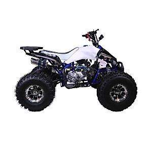 HHH Big Size Sporty ATV 125CC Platinum ATV CT 125-5 Fully Automatic 125 cc 4 wheeler with Reverse and Strong Agressive Tires and Aluminium Hub