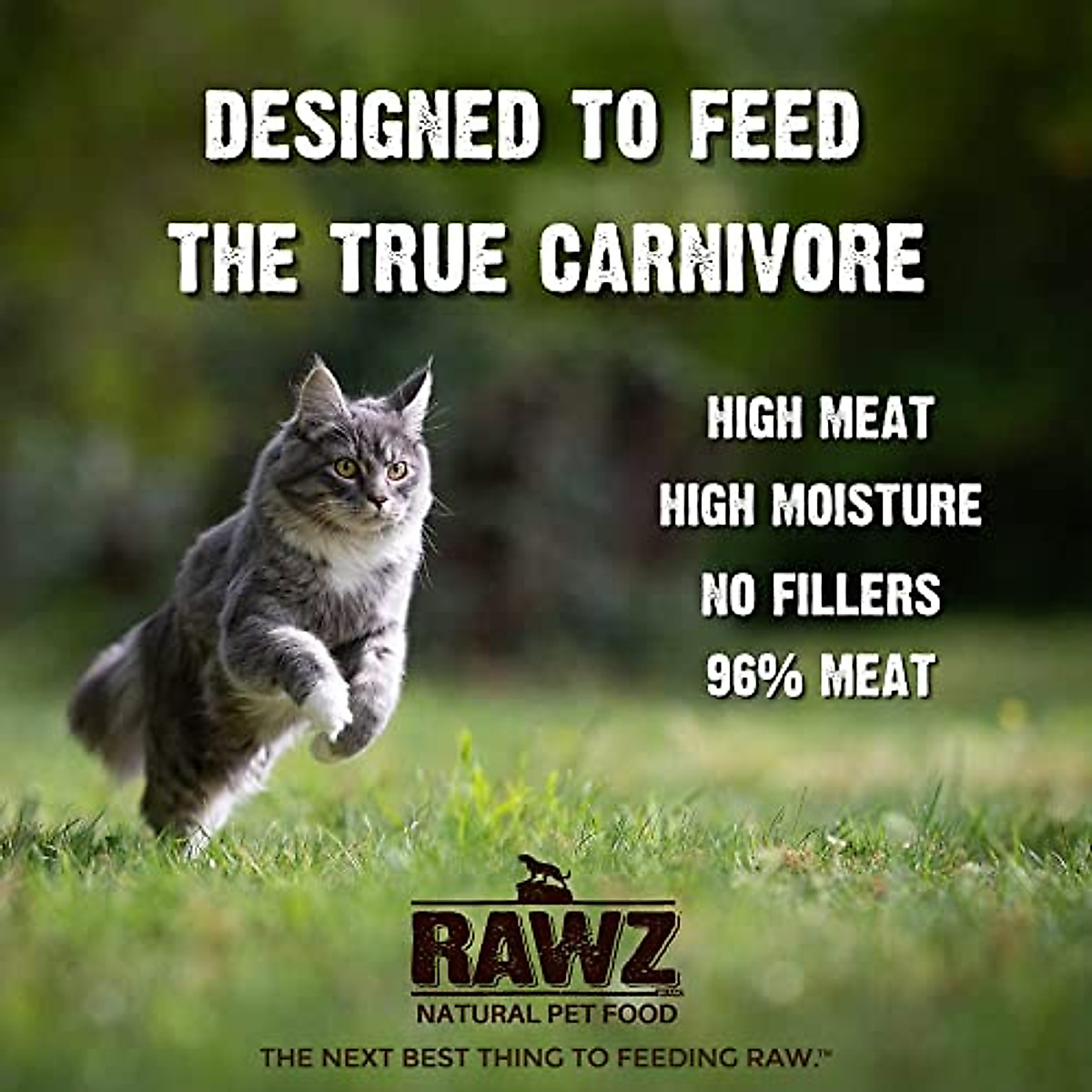 Rawz Natural Premium Canned Cat Wet Food Pate-12 Pack Variety Bundle - 4 Flavors - (Turkey, Chicken & Liver, Salmon & Beef) (5.5oz Cans) with Hotspot Pets Can Lid