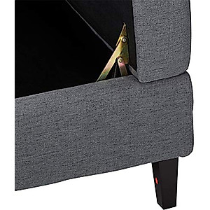 Christopher Knight Home Tovah Fabric Storage Loveseat, Charcoal