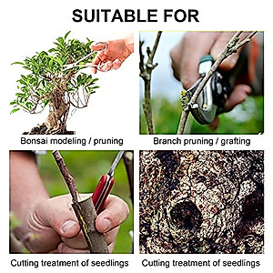 Wound Healing Agent, Keeps Trees Healthy Tree Wound Dressing Bonsai Cut Paste for Grafts for Garden Supplies for Sealing Plant Wounds