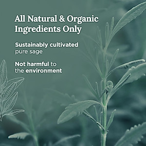 Magnificent 101 Pure Sage Aromatherapy Candles – 14 Oz - 56 Hour Burn| Soy Wax Glass Candle for Energy Cleansing, Purification, Manifestation, & Chakra Healing