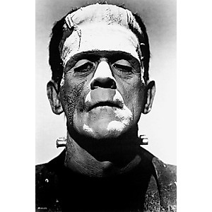 Laminated Frankenstein 1931 Boris Karloff Photo Retro Vintage Horror Movie Poster Horror Movie Merchandise Horror Decor Monster Spooky Scary Halloween Decorations Poster Dry Erase Wall Art 24x36