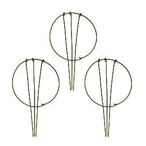 wowoda 3-Pack Garden Plant Support Stake Green Plant Support Rings for Climbing Plant, Flowers ( 10" Wide x 17" High )