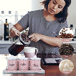 Sugar Tea Coffee Glass Storage Container with Tray 4pcs & Glass Pepper Salt Shakers Jars Set with Tray Pink