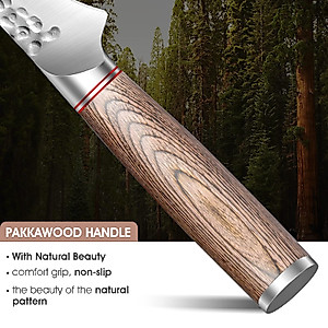 Huusk Japan Knife, Boning for Meat Cutting 6.5-inch, Hand Forged Fillet Knife for Meat Fish Poultry Deboning with Ergonomic Pakkawood Handle and Gift Box