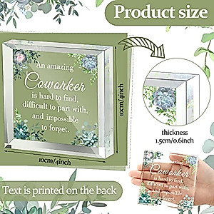 Yulejo Going Away Gifts for Coworkers Women Retirement Plaque Goodbye Best Boss Colleague Acrylic Coworker Leaving Keepsake Paperweight Men Healthcare Worker(Greenery)