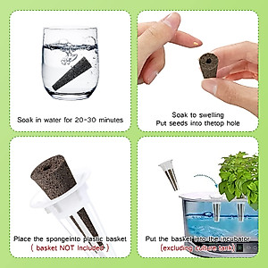 POUYRBA Grow Sponges, 80pcs Brown Peat Soil Hydroponic Sponges Rock Wool for Hydroponic Growing Hydroponic Pods for Breeding Seeds