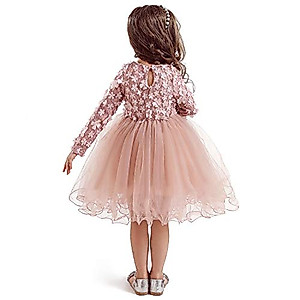 HNXDYY Baby Girl Long Sleeves Girls Dress Kids Birthday Party Tutu Princess Dresses Pink_424 3-4 Years