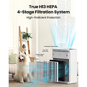 LAMPICK Air Purifier Filter 4-in-1 High-Efficiency True HEPA Replacement Filter, Air Filter Compatible Air Cleaner A6, H13 True HEPA Filter for Smoke Pollen Dander Hair Smell (1 Pack)