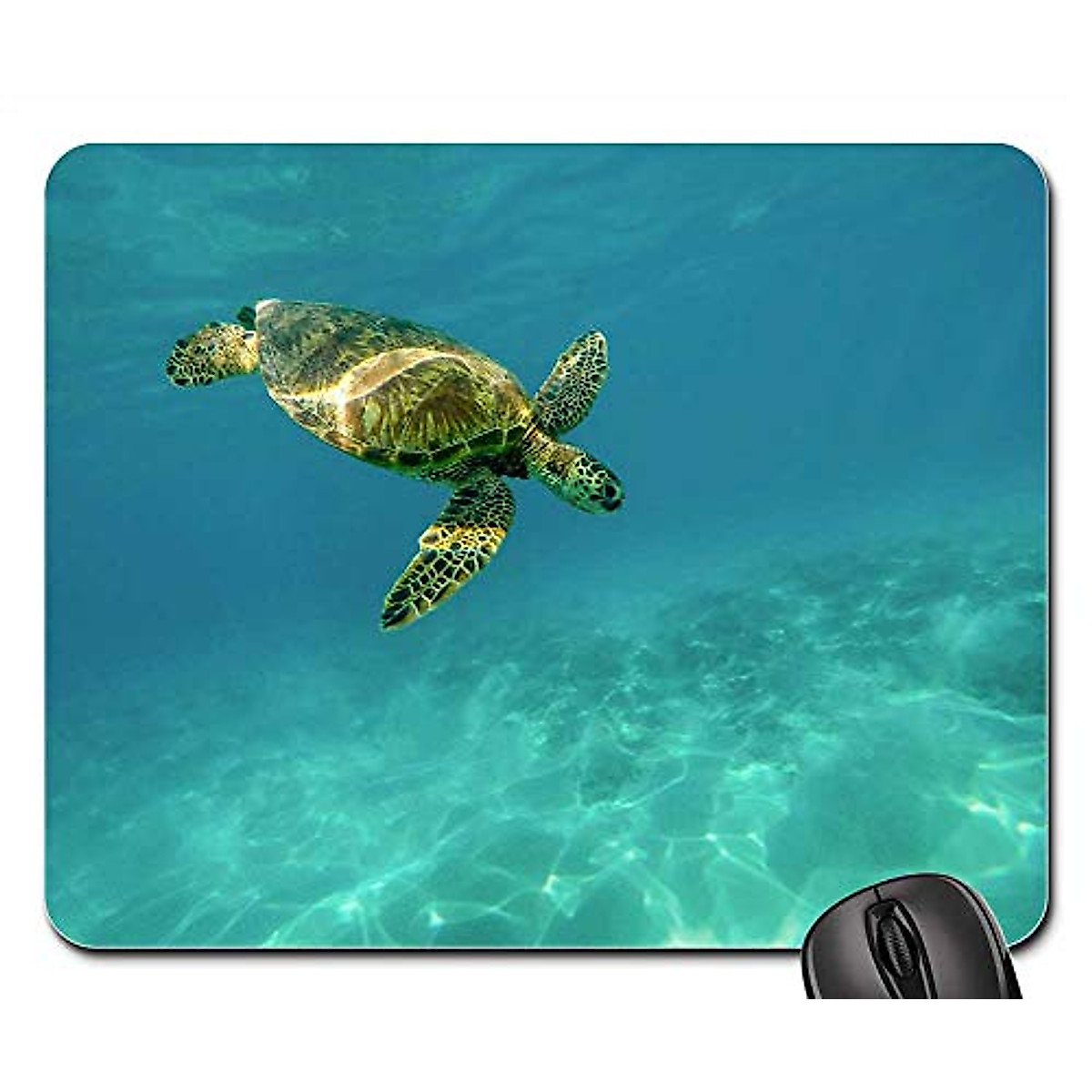 Mouse Pad - Carapace Marine Turtle Ocean Sea Sea Turtle
