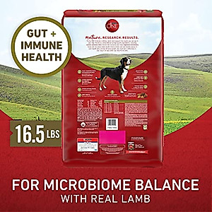 Purina ONE Dry Dog Food Lamb and Rice Formula - 16.5 lb. Bag