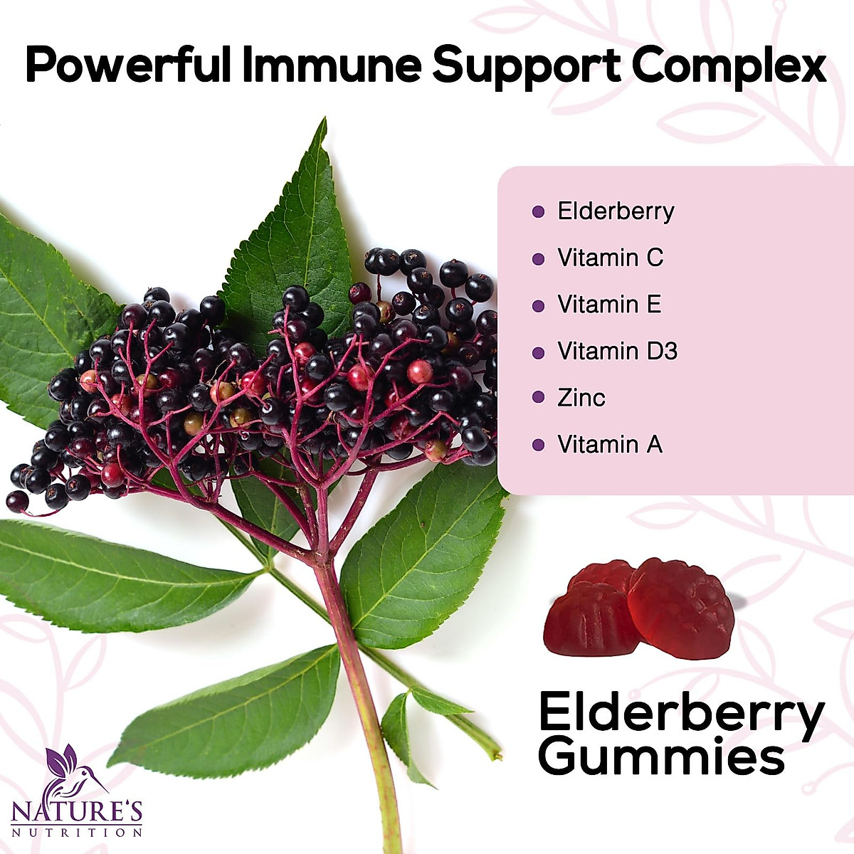 Sambucus Elderberry Immune Gummies, Daily Immune Support with Vitamin C, Vitamin D3, Zinc, Immune Support Gummy Vitamin Supplement, Black Elderberry for Adults, Kid, Gluten Free Non-GMO - 60 Gummies