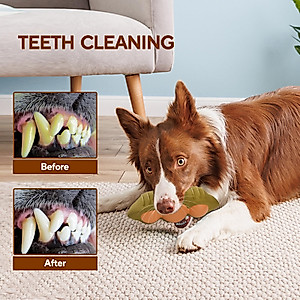 LIFLIX Interactive Treat Dispensing Dog Toy, Durable Rubber Dog Enrichment Toys, Teeth Cleaning Dog Puzzle Chew Toy for Small Medium Large Dogs, Green Soybean Shape