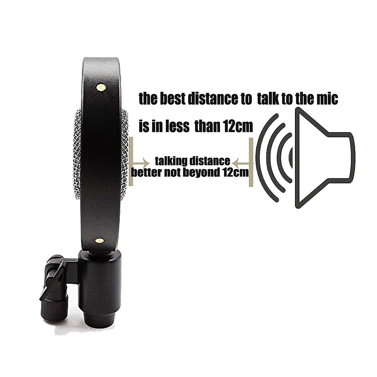 Antique Vintage Classic Cinema Theater Auditorium Speech Live Vocal 25mm Big Diaphragm Condenser Microphone