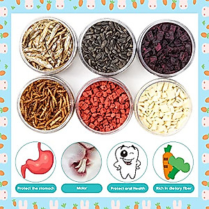 HGPOKLVT Hamster Chew Toys&Treats Includes Dried Fruits, Dried Vegetables Protein Sources, Perfect for Providing Energy&Various Nutrients for Your Pet's Growth Activities