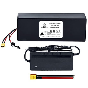 BtrPower 36V 48V Ebike Battery,10AH Lithium ion Battery Pack with 3A Charger and BMS for Electric Bike,Scooter,Motorcycle,250W 350W 500W 750W Motor