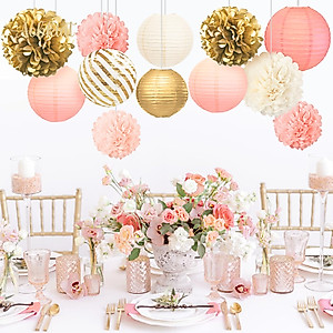 AOBKIAT Birthday Party Decorations Set for Girls Women,12PCS Pink Gold Tissue Paper Pom Poms Lanterns Flowers,for Engagement,Wedding,Baby Shower,Bridal Shower,Princess Party