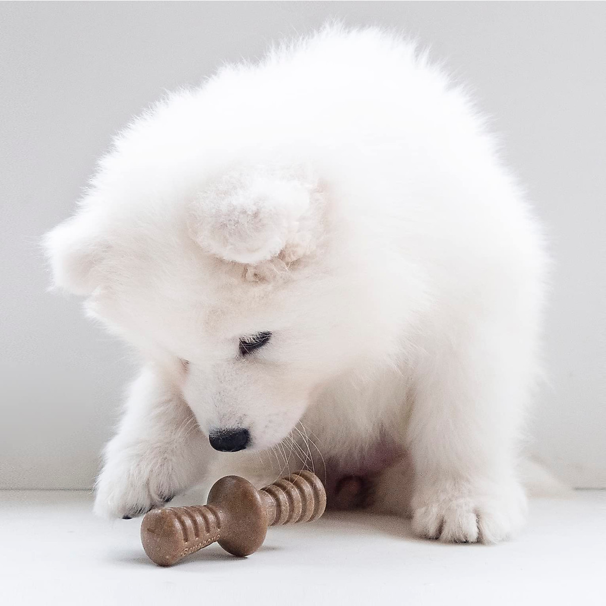 Benebone Puppy 2-Pack Maplestick/Zaggler Durable Dog Chew Toys for Gentle Chewers, Real Bacon, Real Maplewood, Made in USA, Tiny