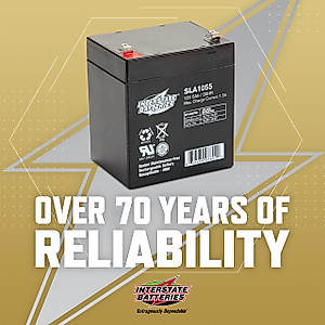 Interstate Batteries 12V 5Ah Battery (F1 Terminal) SLA AGM VRLA Rechargeable Replacement for Alarms, Security, Garage Door Openers for Chamberlain, Genie, Liftmaster, Craftsman, Workhorse (SLA1055)