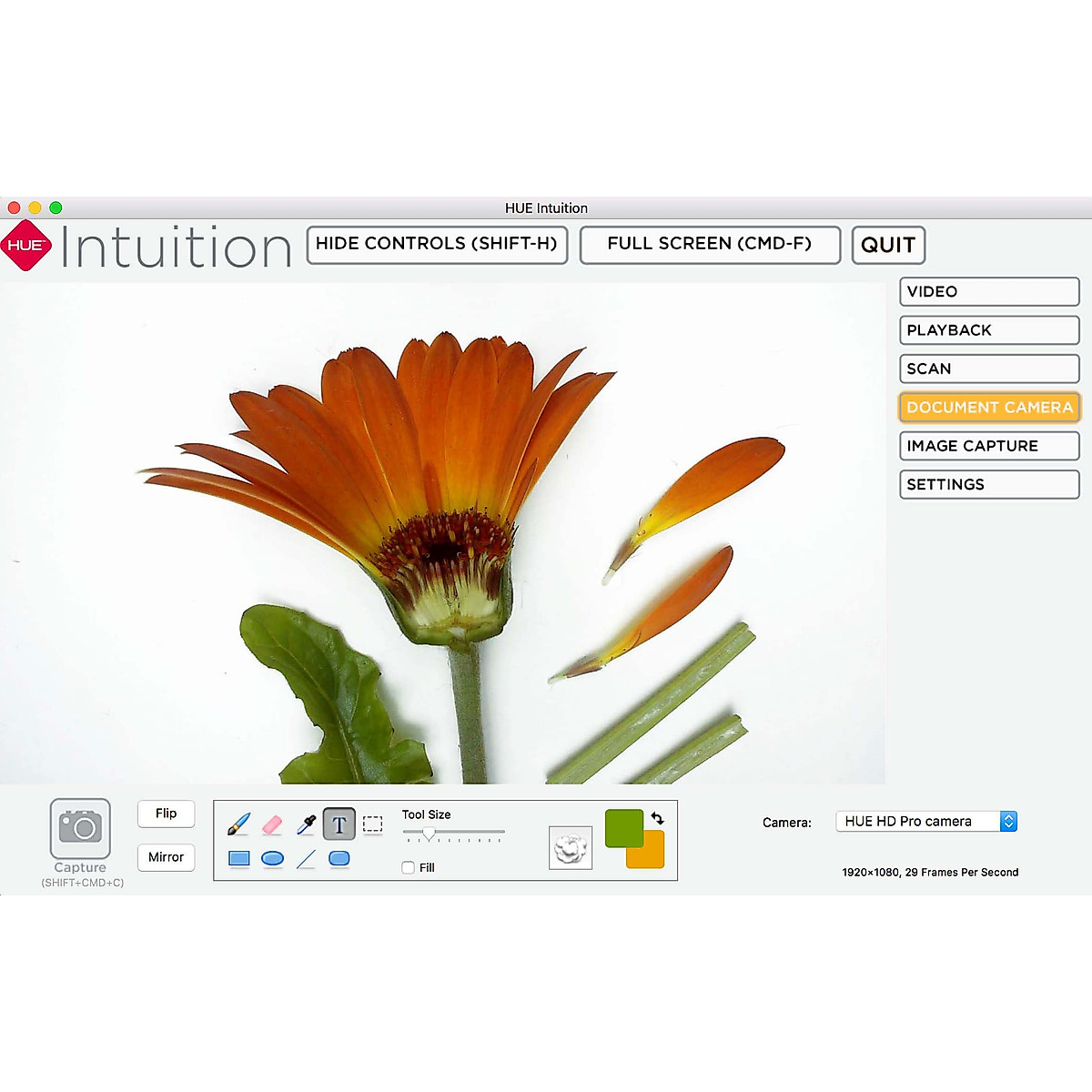 HUE HD Pro Flexible USB Video and Document Camera (Blue)