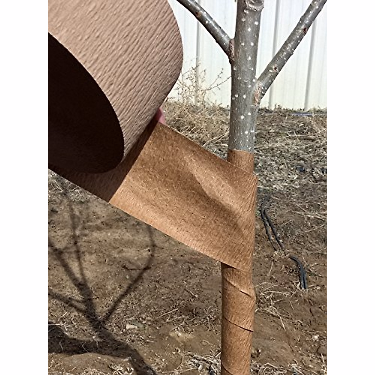 HORT Paper Tree Wrap 3" x 50' roll, Commercial Grade
