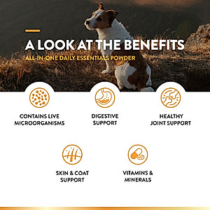 NaturVet All-in-One Dog Supplement - for Joint Support, Digestion, Skin, Coat Care – Dog Multivitamins with Minerals, Omega-3, 6, 9 – Wheat-Free Vitamins for Dogs – 13-Ounce Powder