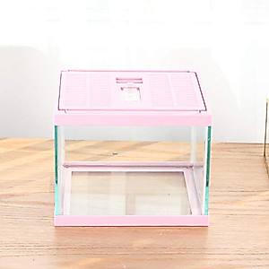 crapelles Reptile Tank Color Pink Spider Terrarium Container Tarantula Box cage Gecko Habitat Insect Enclosure Frog Carrier Tortoise Snail Container Fish Bowl Hermit Crab House Cricket breeding Box
