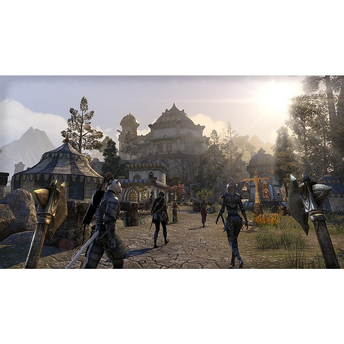 The Elder Scrolls Online - PlayStation 4 Gold Edition