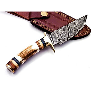 8 inch Handmade Damascus Steel Hunting knife Handle Deer Antler W Leather C. The Handle Color and Gard shape could be different then Pics