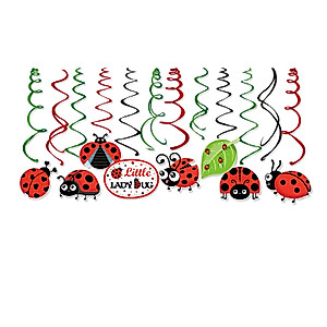 LJCL Ladybug Hanging Swirls Decorations 30ct Colorful Little Lady Bug Ceiling Whirl Streamers Spirals Foil for Baby Shower or Ladybug Birthday Party Decorations Supplies Hanging Decor