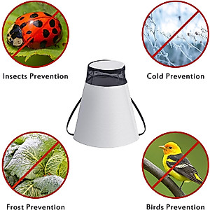 LFUTARI 2pcs Winter Rose Protective Cover - Winter Protection Rose Cones - Rose Collars for Winter Protection Against Frost, Animals Eating (2)