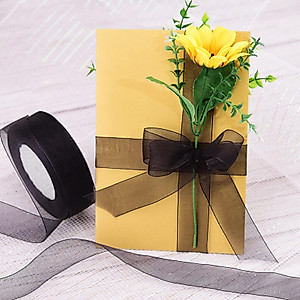 Hapeper 2 Rolls 1 Inch Sheer Organza Chiffon Ribbons for Gift Wrapping DIY Crafts Party Decoration, 50 Yards/ Roll (Light Purple, Light Blue)