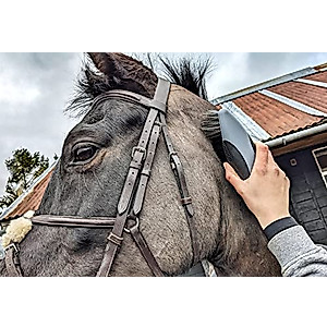Rugged Horse Grooming Kit - Seven Piece Grooming Kit for Horses. Contains Horse Brushes, Hoof Pick, Sweat Scraper and Grooming Tote