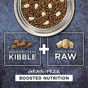 Instinct Raw Boost Grain Free Recipe with Real Salmon Natural Dry Cat Food by Nature's Variety, 4.5 lb. Bag