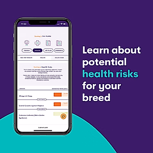 Orivet Dog DNA Test | Comprehensive Dog Breed Test Kit, Genetic Testing and Life Plan GenoPet+ for Canines