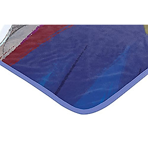 Northwest Frozen Micro Raschel Throw Blanket, 46" x 60", New Family
