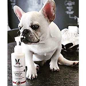 Warren London Hydrating Butter Leave In Pet Conditioner for Dogs | Lotion for Skin and Coat | Aloe Puppy & Dog Conditioner for Hair Detangler, Dry Skin, & Pet Fur Dandruff | Use After Dog Shampoo & Bathing | Made in USA | Guava 8oz