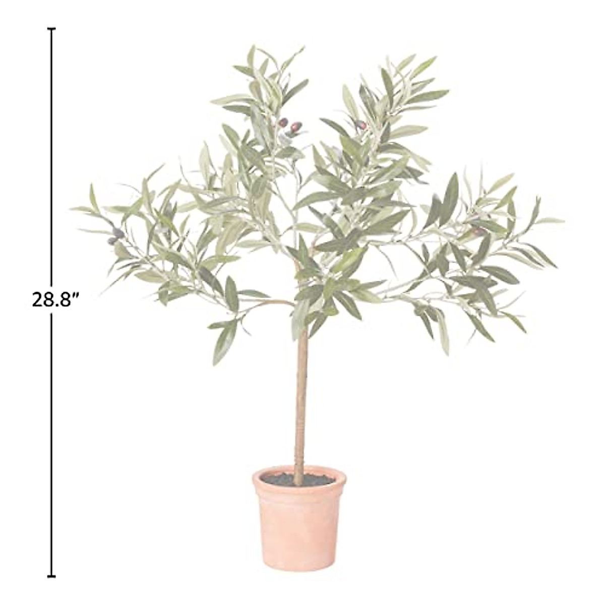 Amazon Brand - Stone & Beam Artificial Olive Tree Topiary with Faux Terracotta Pot, 2.4 Feet (28.8 Inches), Indoor