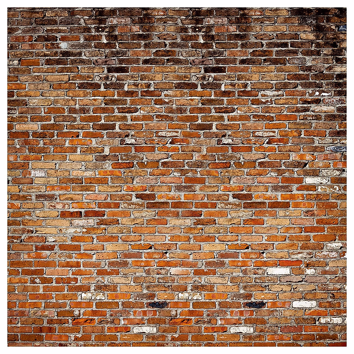 YYNXSY 10X10FT Brick Wall Background Primary Color Brick Background Large Fabric Brick Photo Background Baby Shower Birthday Party Wedding Graduation Home Decoration Photo Booth Prop Banner YY-6