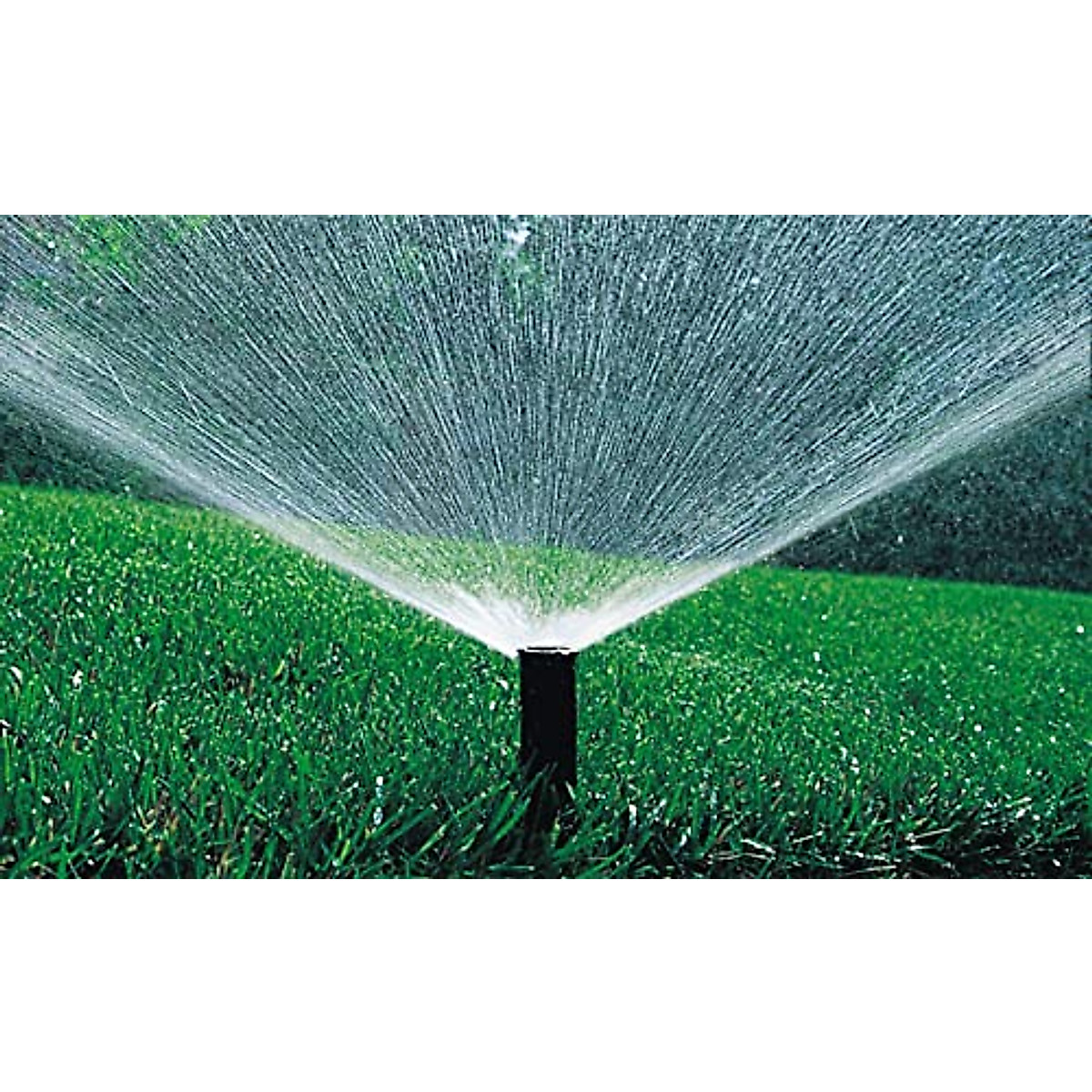 Rain Bird 1804APNP Professional Non-Potable Water Pop-Up Sprinkler, Adjustable 0° - 360° Pattern, 8' - 15' Spray Distance, 4" Pop-up Height, Purple Cap