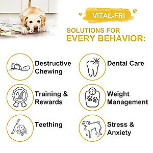 VITAL-FRI Donut Dog Chew Toy - Flavorful, Durable Rubber for Aggressive Chewers - Tough & Long-Lasting Puppy Toy for Small, Medium, Large Dogs - Promotes Dental Health