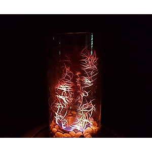 BENJOY Ultimate Fire Wire! 4g(0.14oz) - Ember Effect, Neon Glowing Metal Fiber for Bio Ethanol, Gel Fuel, Natural Gas Fireplace and Ventilation Gas Log Set