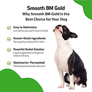 Pet Wellbeing Smooth BM Gold for Dogs - Vet-Formulated - Gentle Constipation Relief for Canines - Natural Herbal Supplement 2 oz (59 ml)