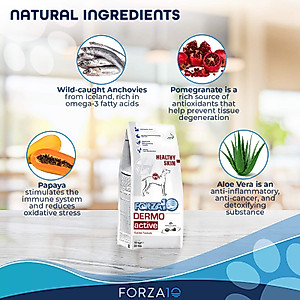 Forza10 Dermo Allergy Dog Food, Dog Food for Allergies and Itching, Dry Dog Food for Skin Allergies, Fish Flavor Sensitive Stomach Dog Food, Sensitive Stomach Dog Food Adult Dogs All Breeds, 22 Pounds