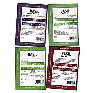 Basil Seeds for Planting Home Garden - 8 Variety Herb Pack Genovese, Large Leaf, Lemon, Thai, Red Rubin, Cinnamon, Sweet and Purple Opal Basil Herb Seeds for Indoors & Outdoors by Gardeners Basics